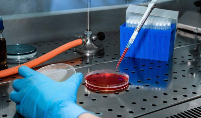 pH como prueba de control de calidad en medios de cultivo | Guíalab