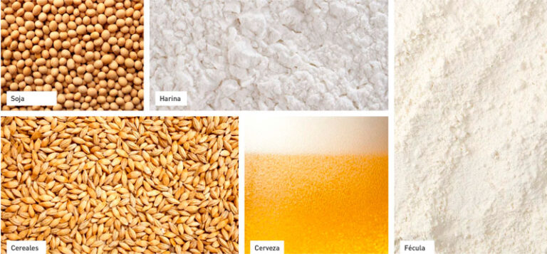 Análisis de proteínas automatizado DUMATHERM | Guíalab