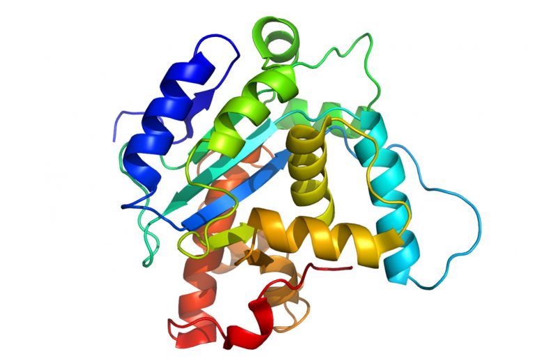 Proteínas terapéuticas: control conformacional por espectrometría ...